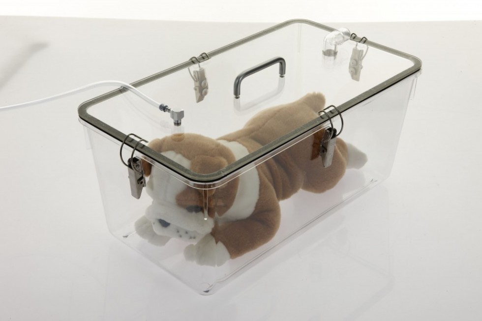 Induction Chambers specifically designed by veterinarians | AAS Darvall