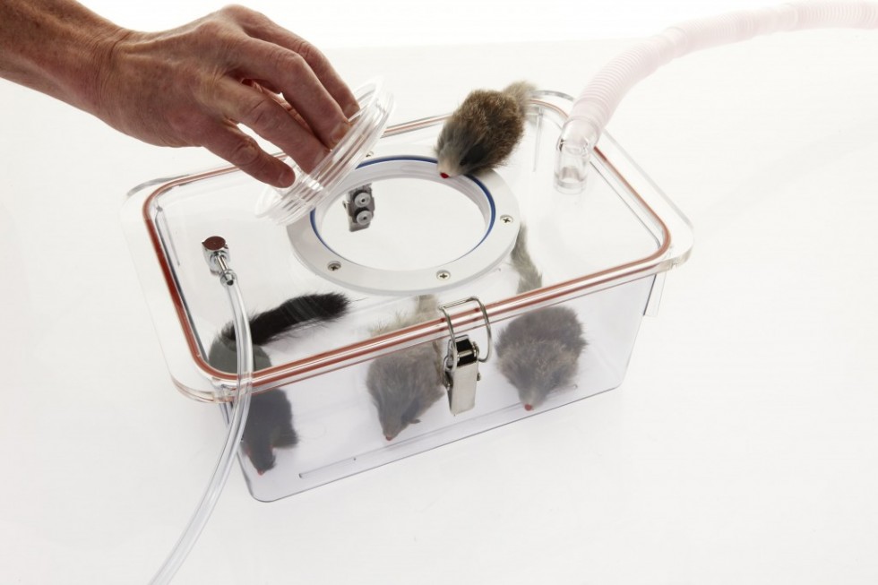 Induction Chambers specifically designed by veterinarians | AAS Darvall