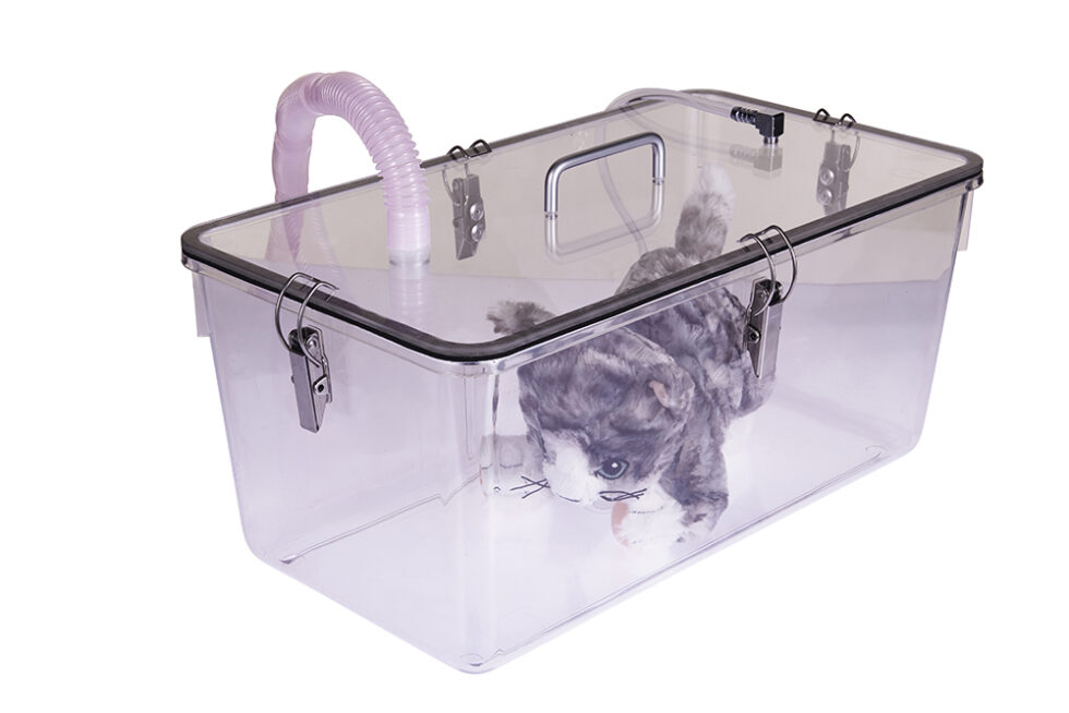 Induction Chambers specifically designed by veterinarians | AAS Darvall