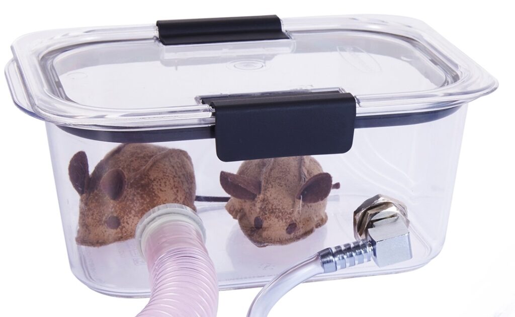 Induction Chambers specifically designed by veterinarians | AAS Darvall