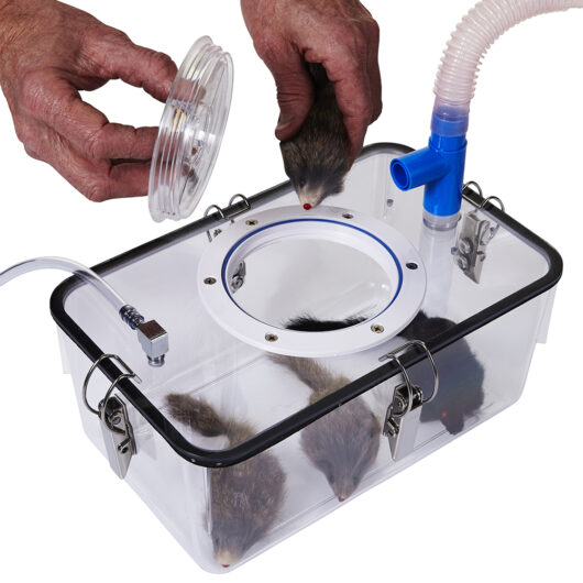 Induction Chambers specifically designed by veterinarians | AAS Darvall